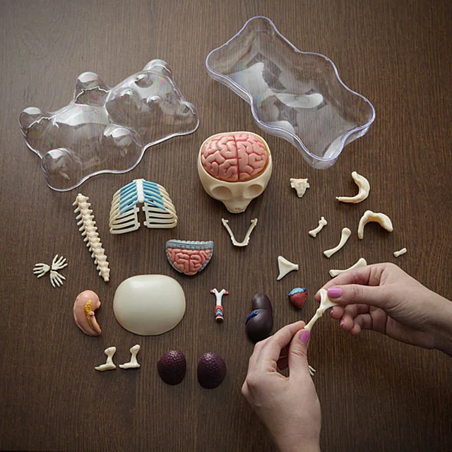 Anatomy of a Gummy Bear — GeekTyrant