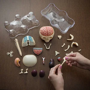 Anatomy of a Gummy Bear — GeekTyrant