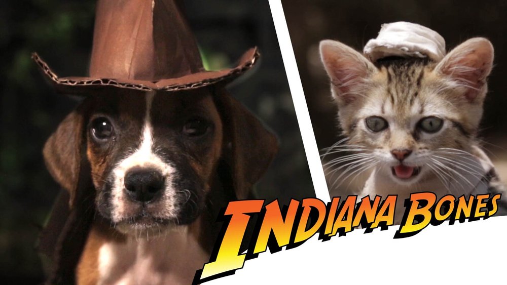 See RAIDERS OF THE LOST ARK, But With A Puppy Playing Indiana Jones ...