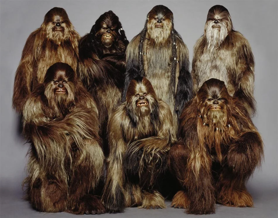 All You Could Ever Want To Know About Wookiees — GeekTyrant