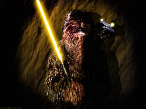 All You Could Ever Want To Know About Wookiees — GeekTyrant