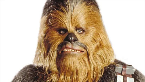 All You Could Ever Want To Know About Wookiees — GeekTyrant