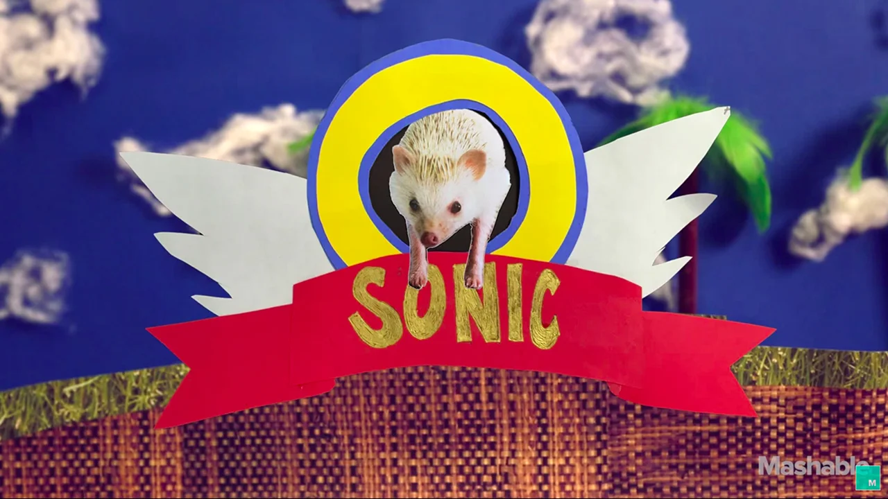 SONIC THE HEDGEHOG in Real Life — GeekTyrant