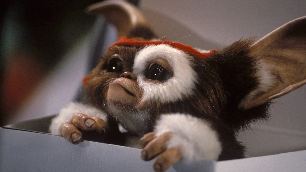 GREMLINS 3 Will Reportedly Be Set 30 Years After The Original Film ...