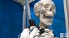 Skeleton Made Mobile With Fake Muscles — GeekTyrant
