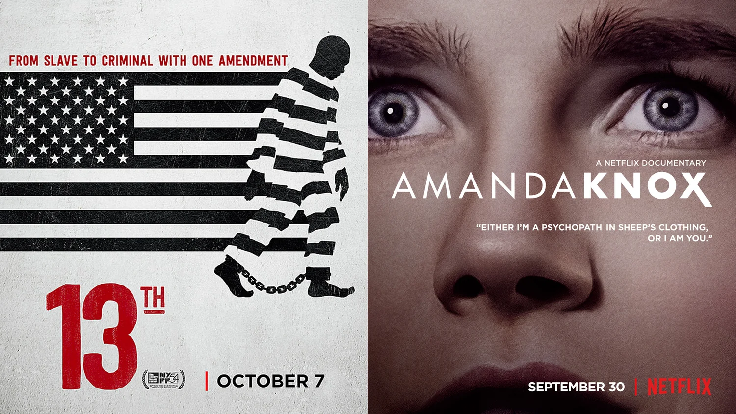Netflix Mini-Reviews: 13TH and AMANDA KNOX — GeekTyrant