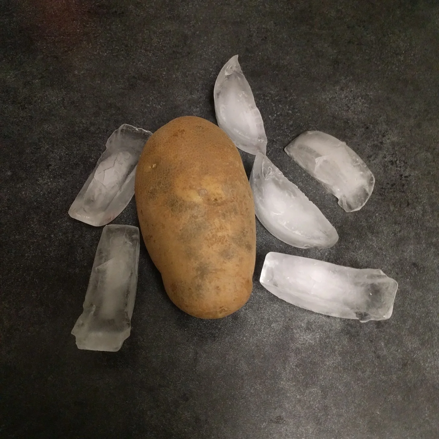 Disney Princesses Ridiculously Reimagined as Potatoes — GeekTyrant