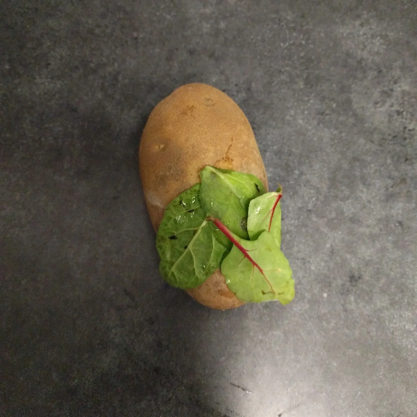 Disney Princesses Ridiculously Reimagined as Potatoes — GeekTyrant