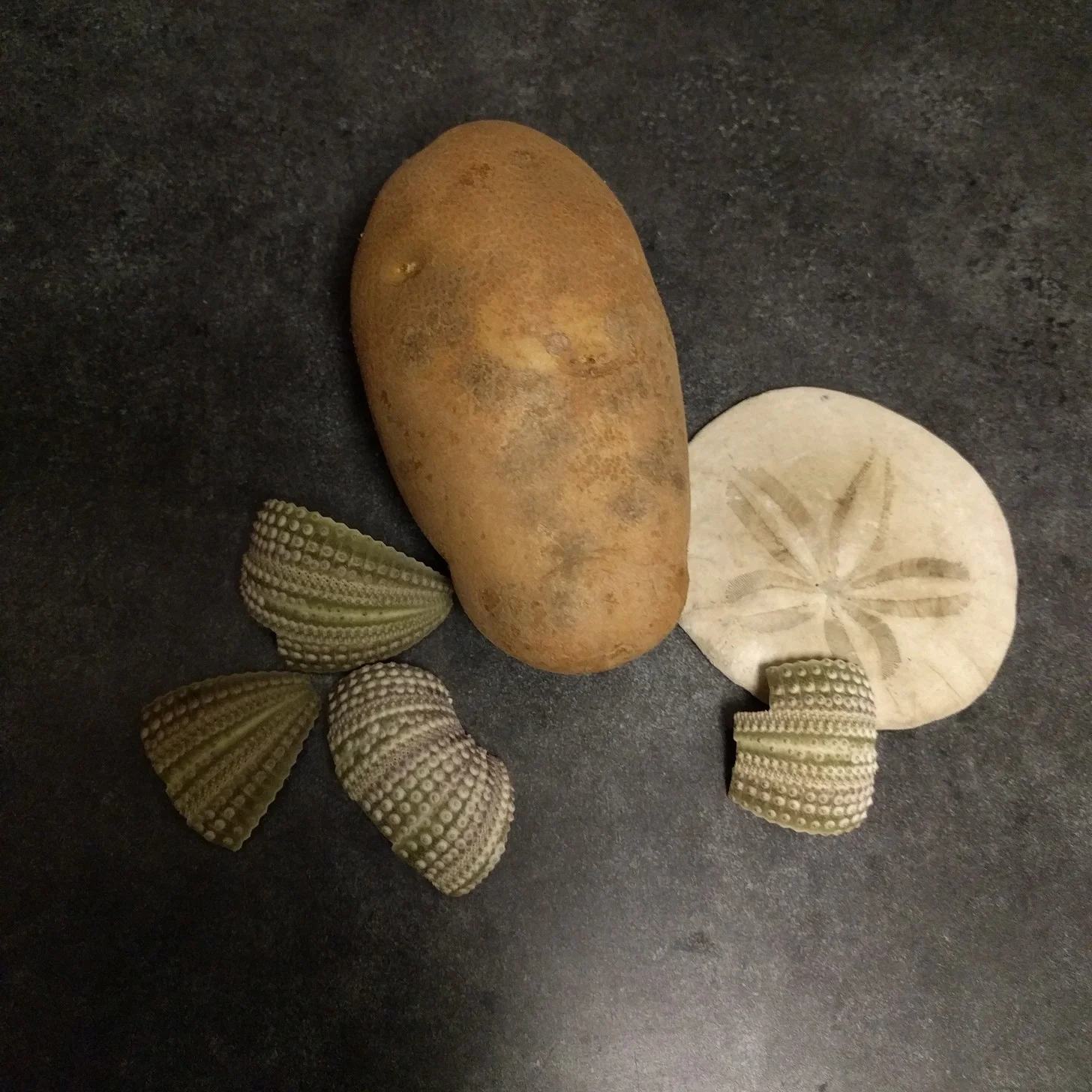 Disney Princesses Ridiculously Reimagined as Potatoes — GeekTyrant