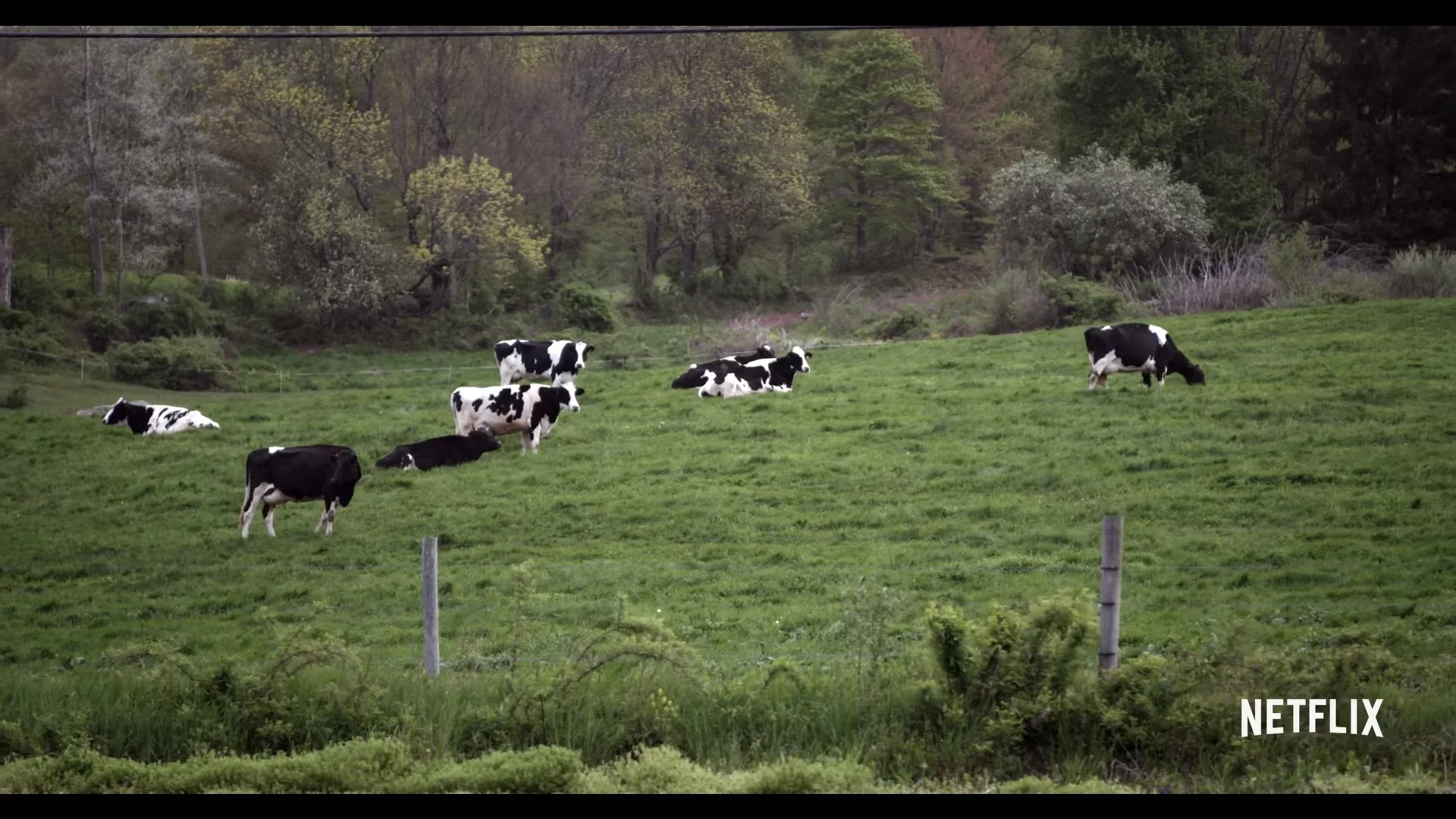The Fraud Of The Food Industry Is Exposed In Trailer For Netflix ...