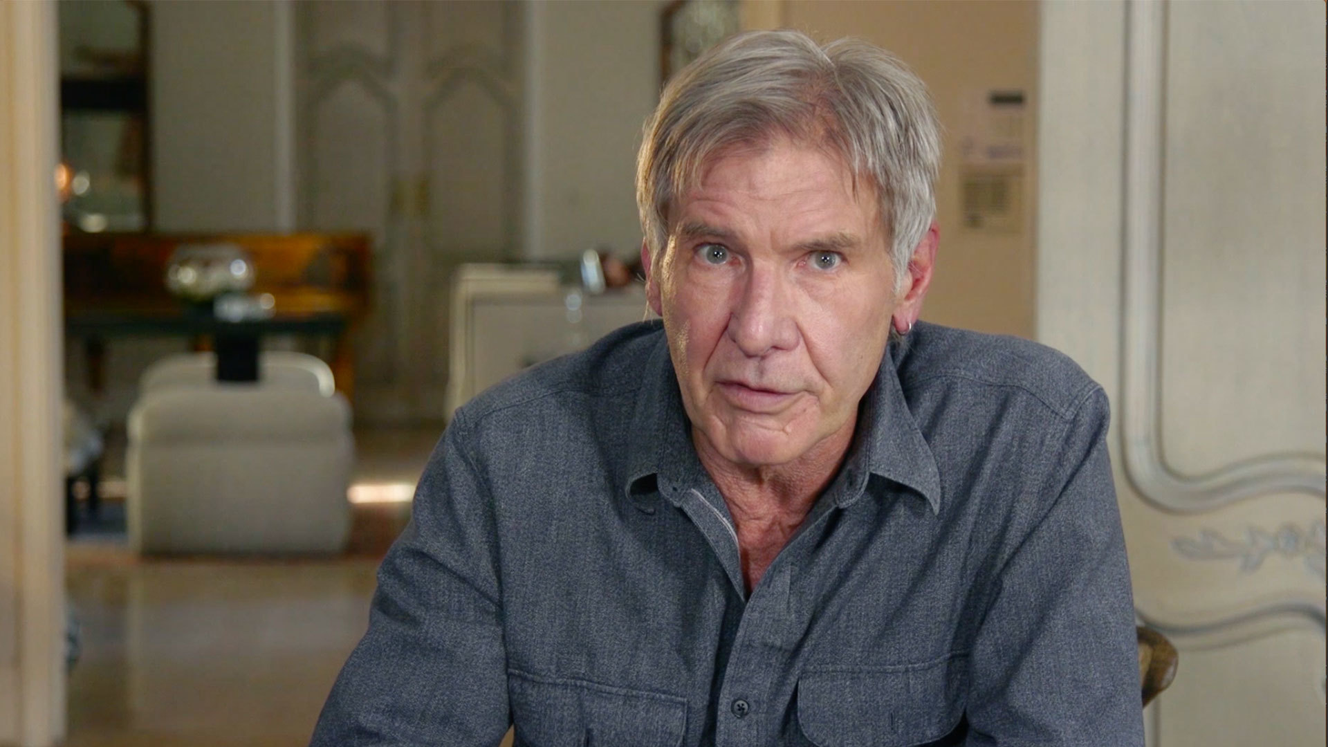 Harrison Ford Joins THE SECRET LIFE OF PETS 2 In His First Animation ...