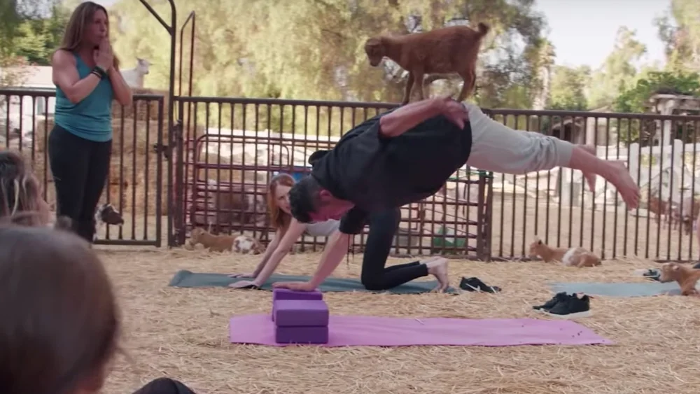 Trailer For Netflix's MAGIC FOR HUMANS Looks Awesome — GeekTyrant