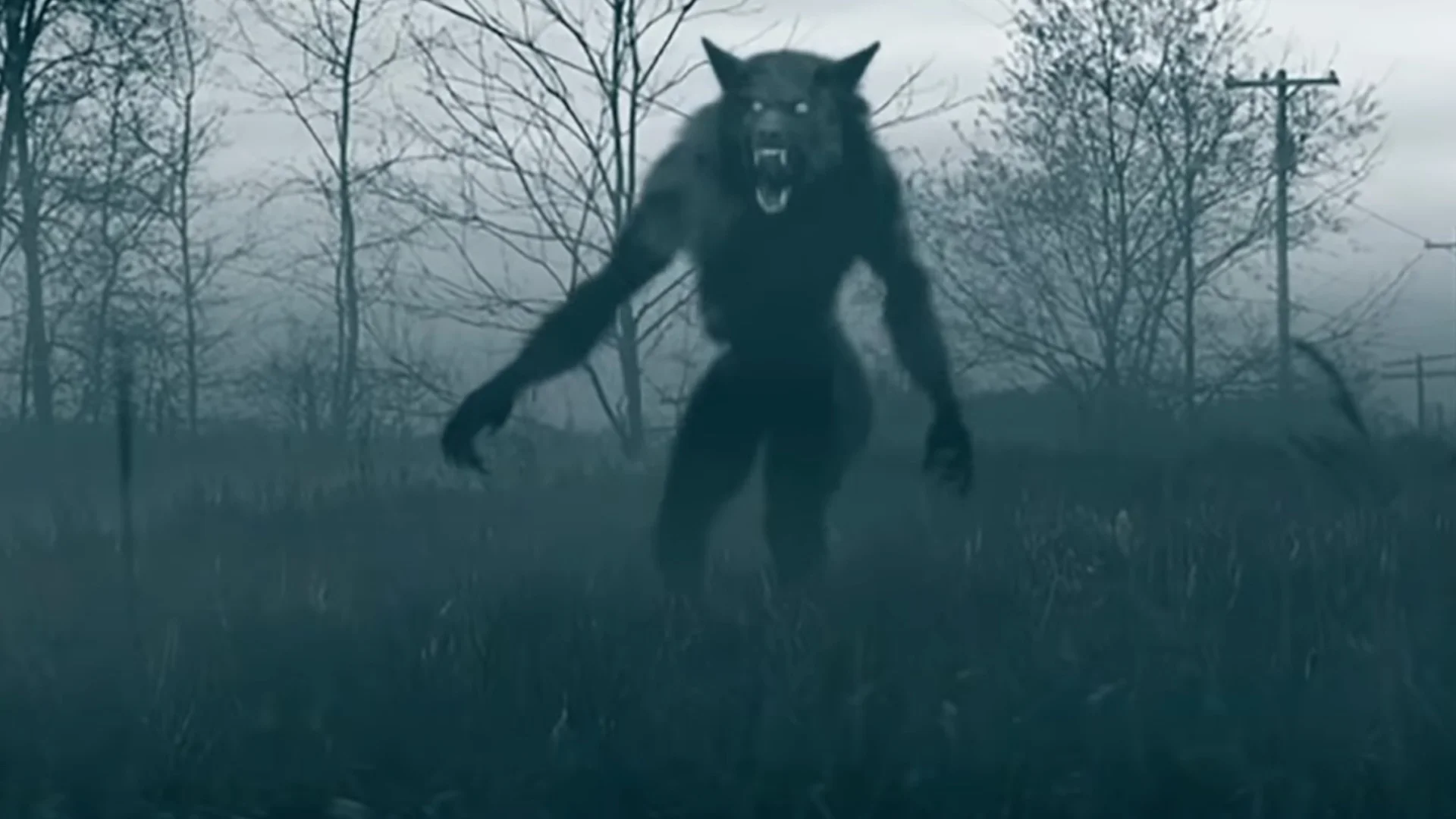 Bigfoot Vs. Werewolves Movie in the Works - SAVAGE — GeekTyrant