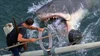 Richard Dreyfuss Says JAWS Should Get a CGI Shark Makeover and Re ...
