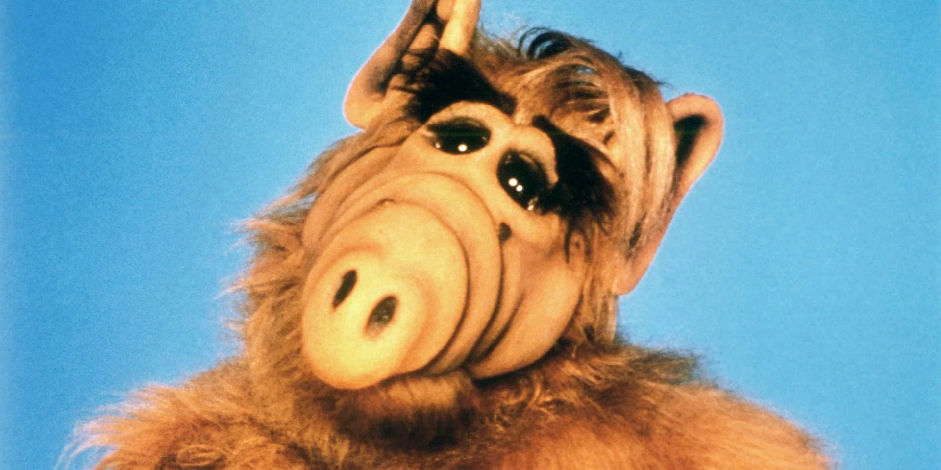 The ALF Series Reboot is Dead — GeekTyrant