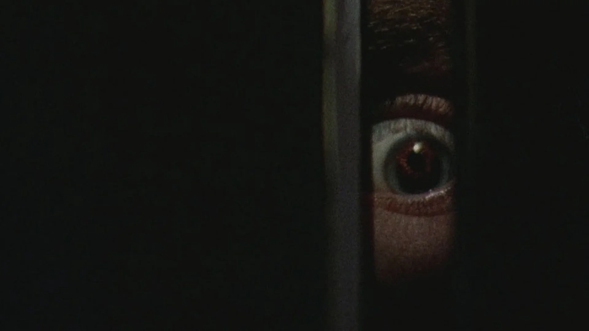 Netflix Acquired The Rights to The True Life Creepy Story of THE ...