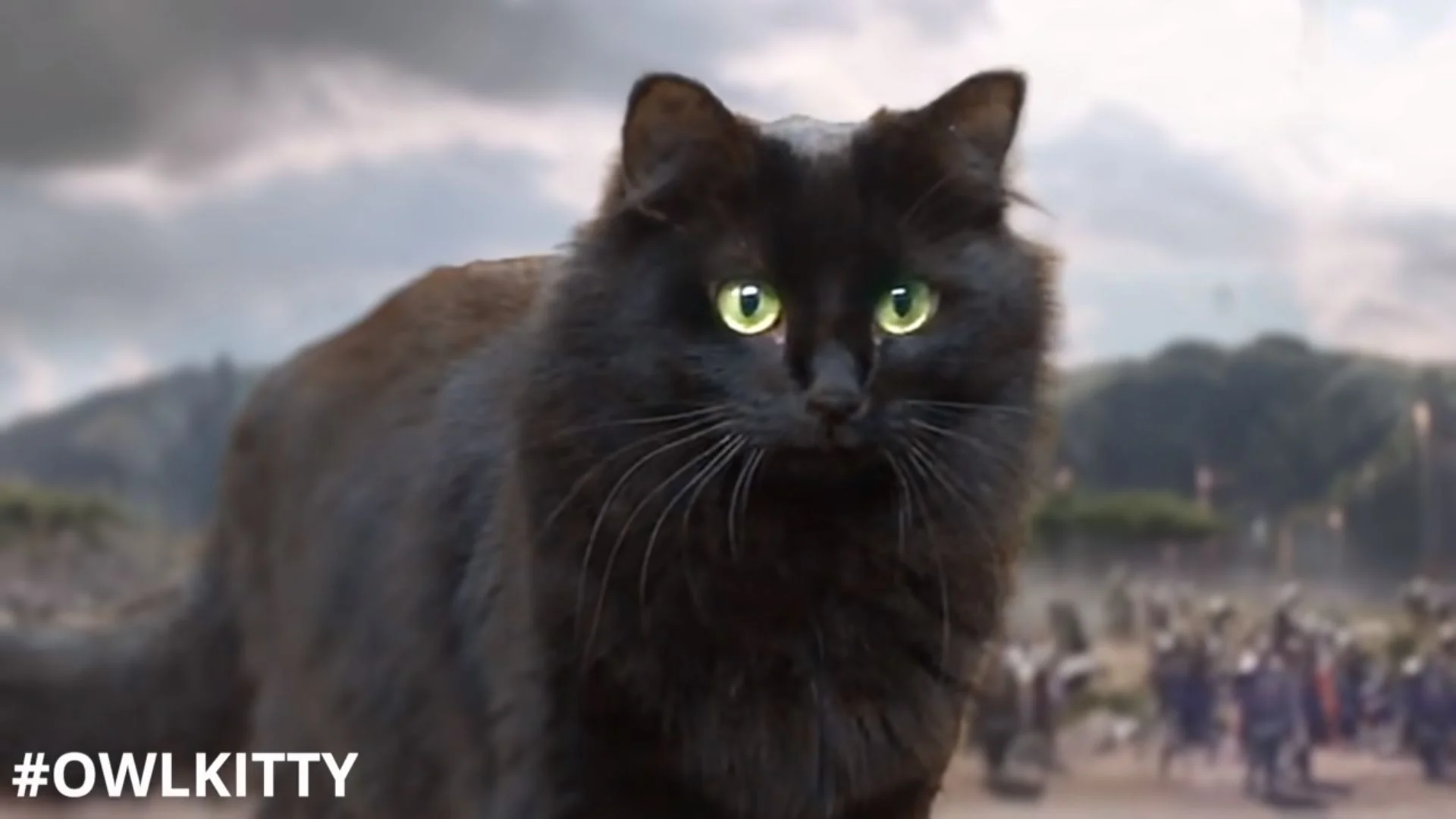 This Artist Puts His Cat in Iconic Movie Scenes — GeekTyrant