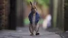 First Trailer For PETER RABBIT 2: THE RUNAWAY Features Old Tricks and ...