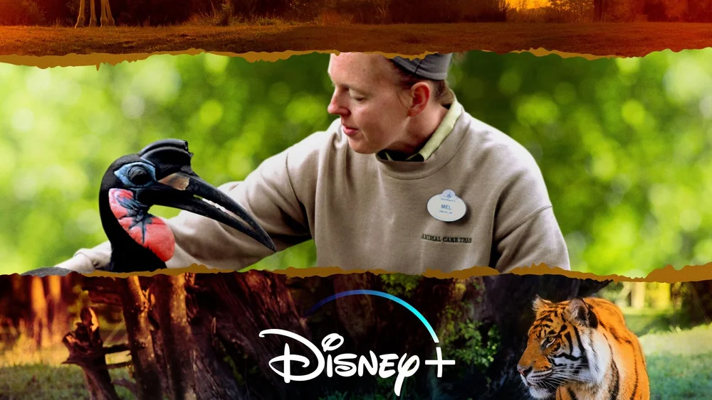 Get Ready to Explore the Animal Kingdom in MAGIC OF DISNEY'S ANIMAL ...