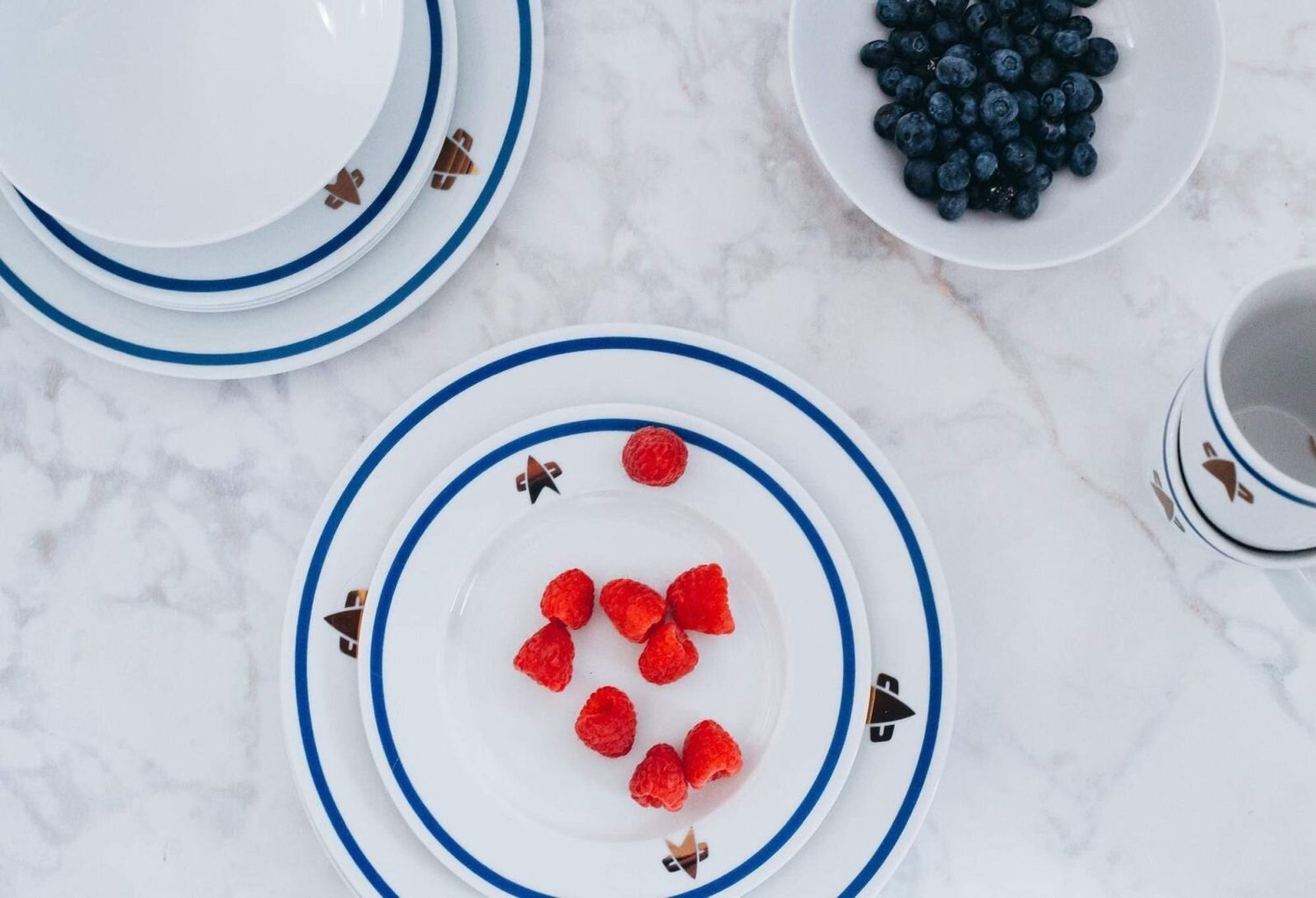 Dine Like a Starfleet Admiral with the STAR TREK Dinnerware Set from ...