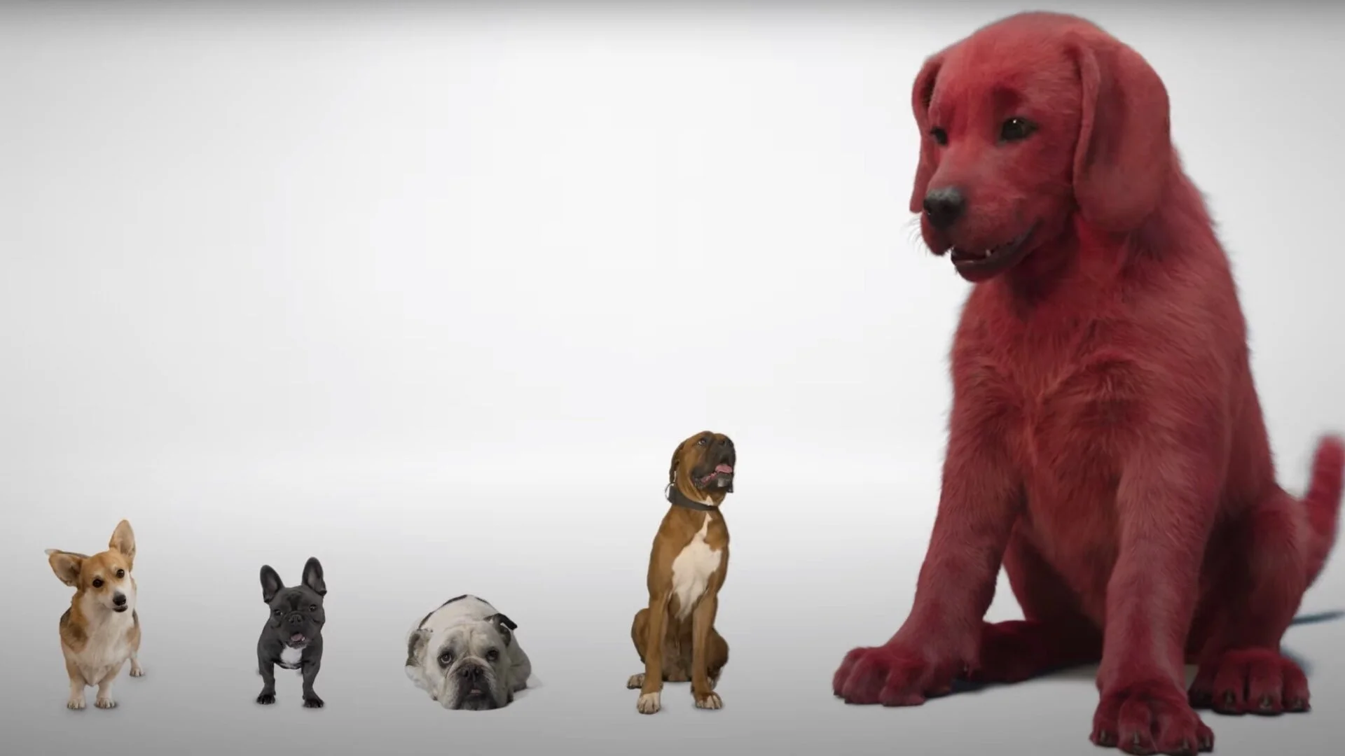 First Look Teaser for CLIFFORD THE BIG RED DOG Film Adaptation — GeekTyrant