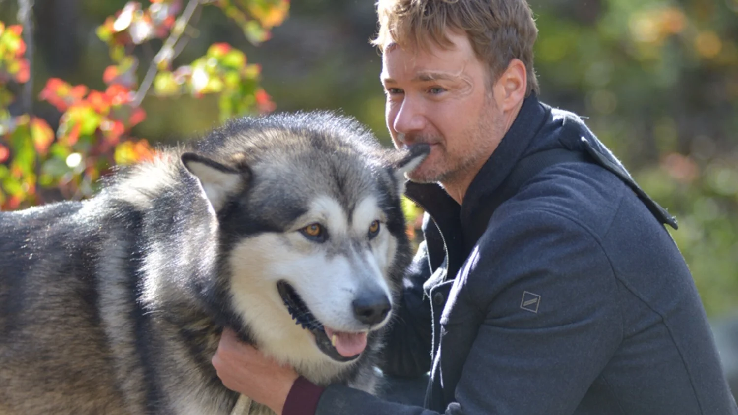 Trailer For a Survival Film About a Blind Man and a Dog HERO DOG: THE ...