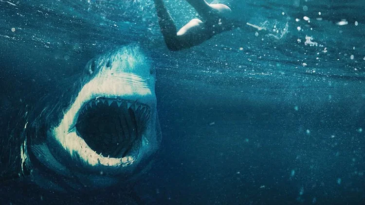 Trailer For The Australian Shark Survival Thriller GREAT WHITE with ...