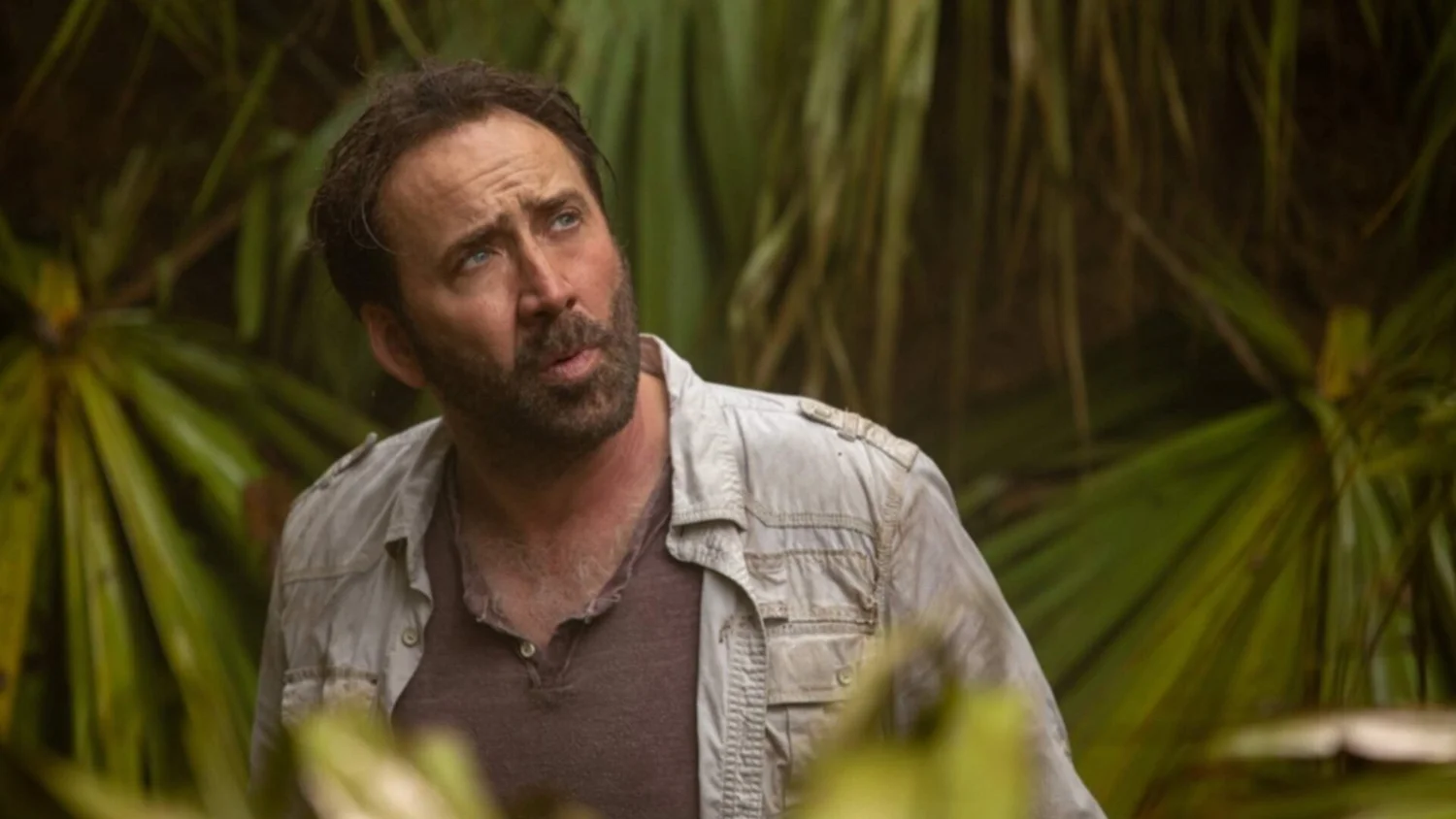 Nicolas Cage Set To Play a Buffalo Hunter in Film Adaptation of BUTCHER ...