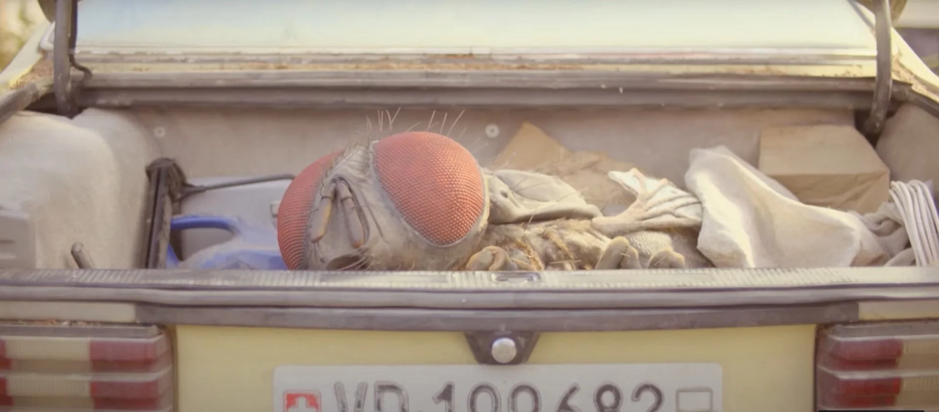 New US Trailer For Wacky French Comedy MANDIBLES About Two Friends and ...