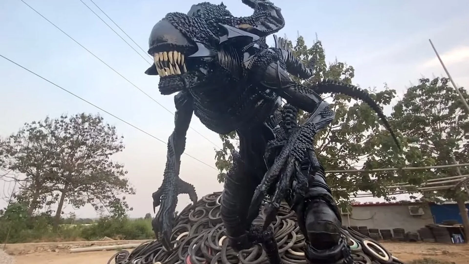 Alien Queen Vs Predator King