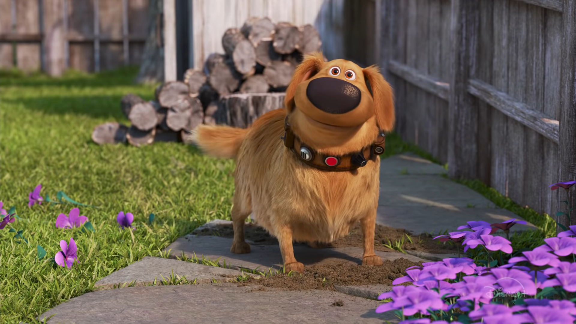 New Trailer for Disney+ Series DUG DAYS Reunites Dug, Russell, Carl ...