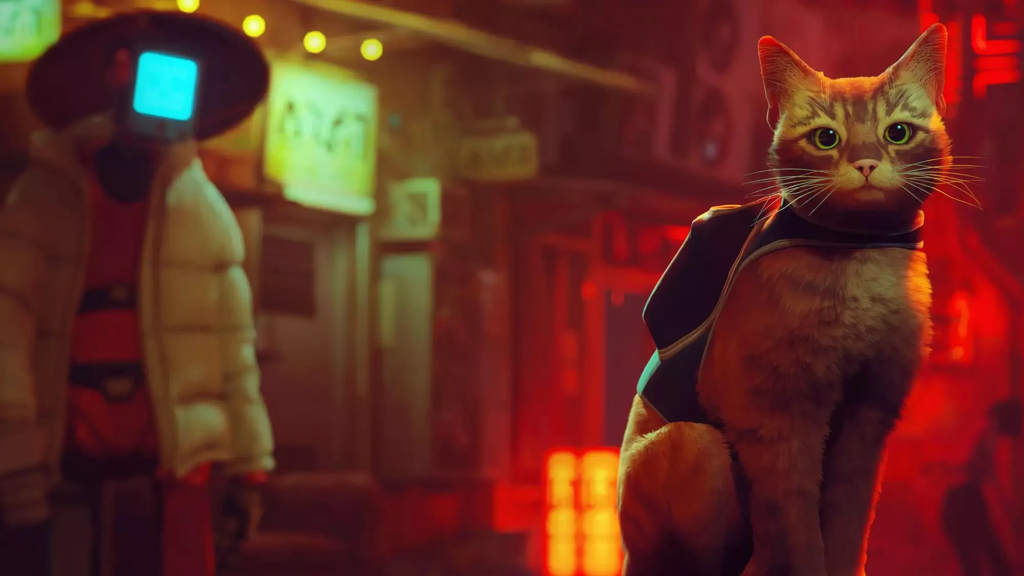 STRAY Movie Based on the Video Game Is Being Adapted by Annapurna ...