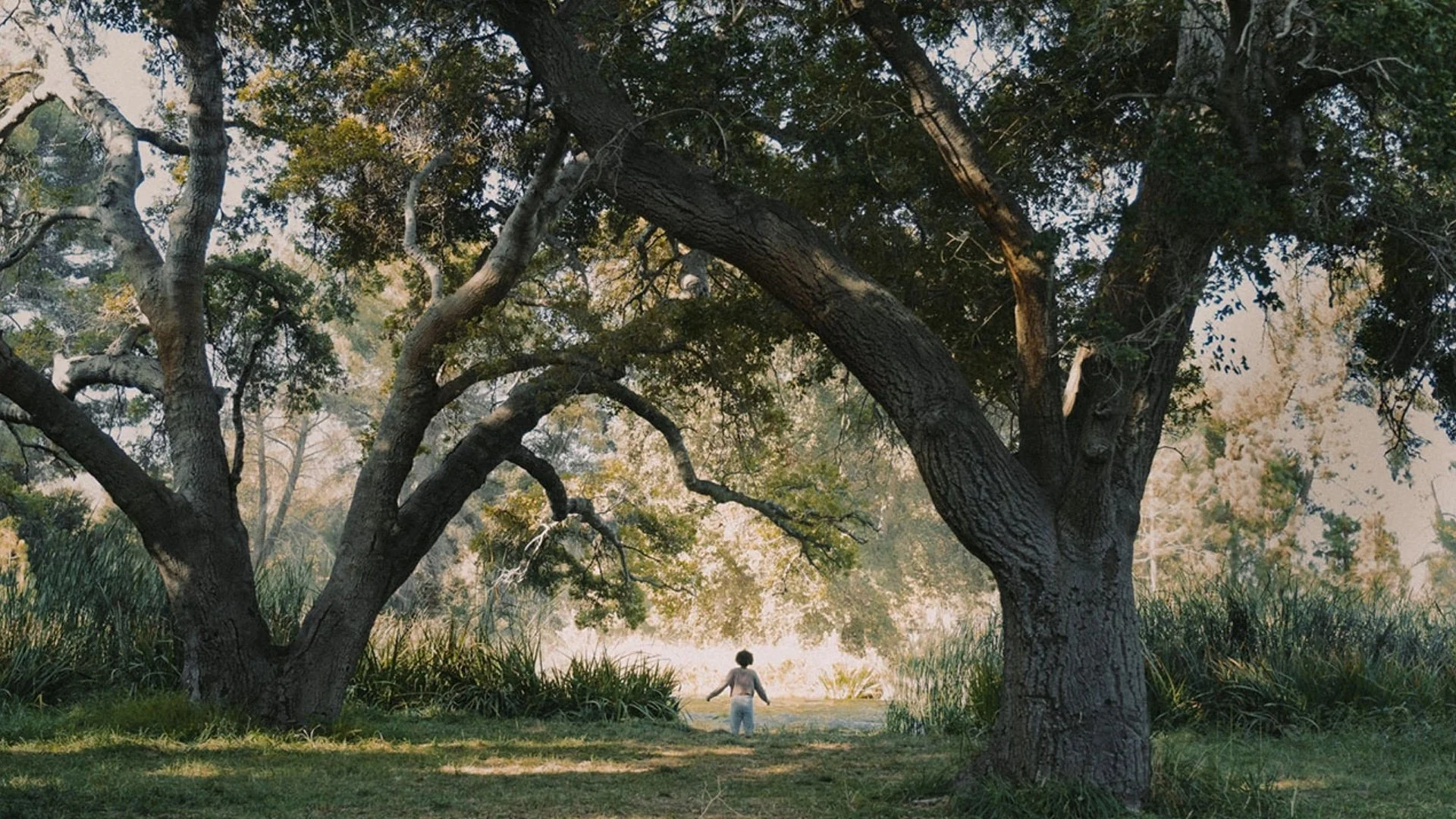 FX Is Developing a Series Adaptation of the "Genre-Breaking" Sci-Fi ...