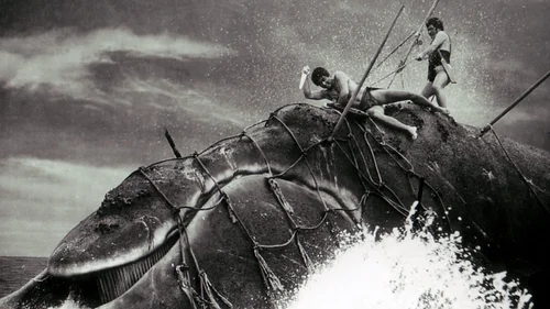 Trailer For The Lost Killer Whale Kaiju Movie From 1962 THE WHALE GOD ...