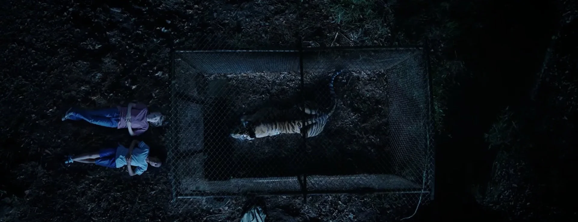 Trailer for Inspirational Drama THE TIGER RISING Starring Queen Latifah ...