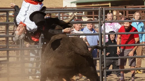 The Gnarly Stunt in JACKASS FOREVER That Made Johnny Knoxville Quit ...