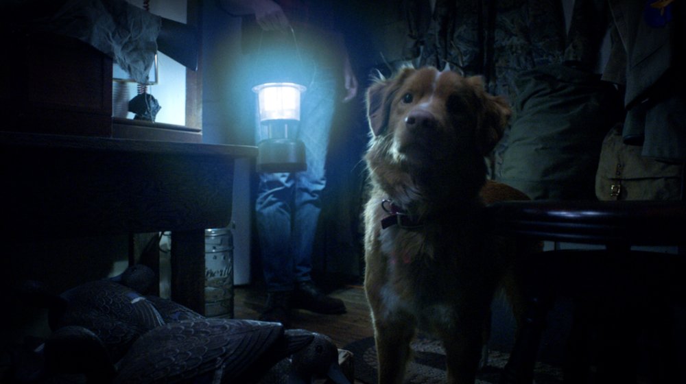 GOOD BOY Is a Haunted House Horror Movie Told From the Perspective of a ...