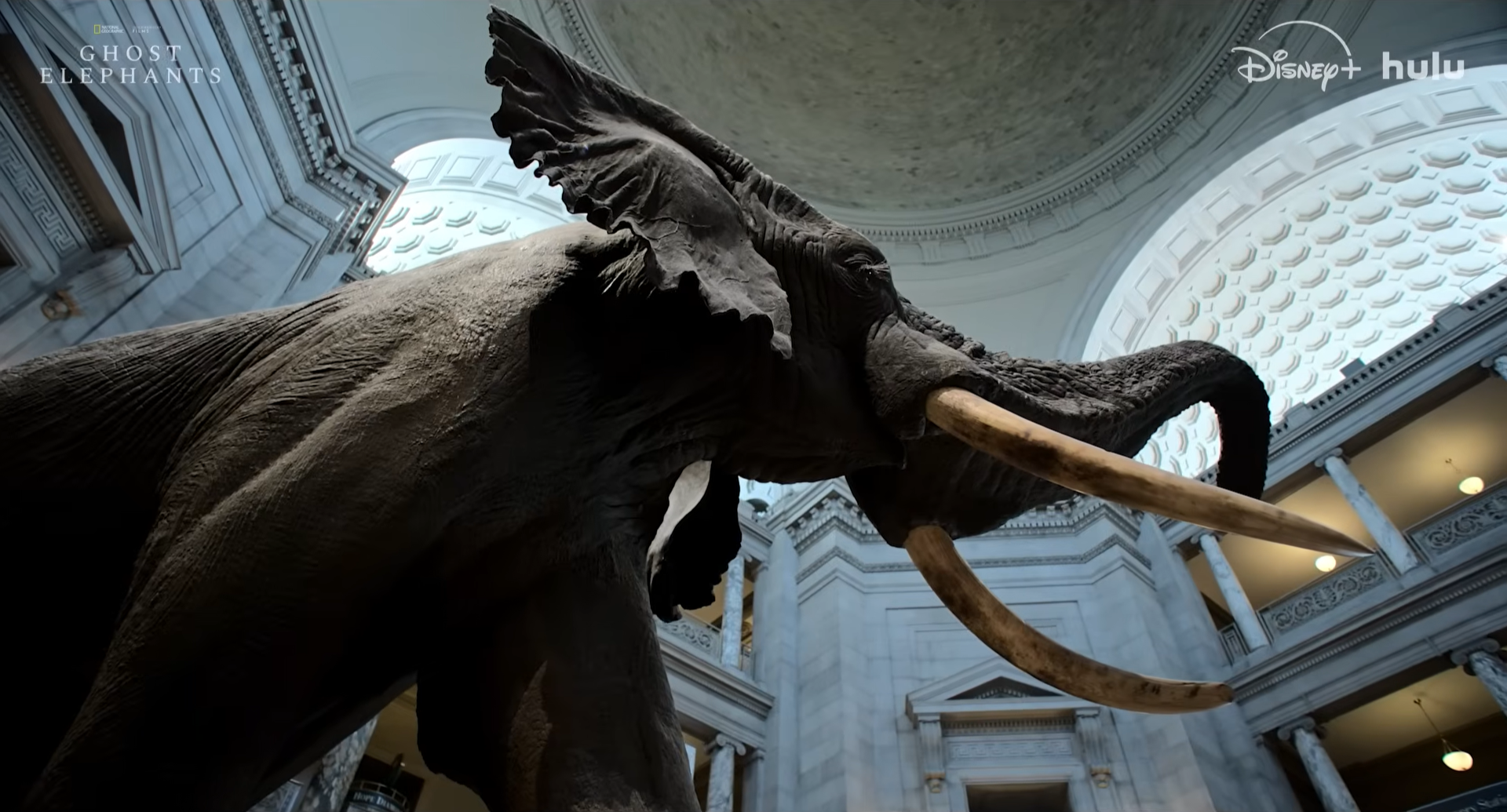 Fascinating and Breathtaking Trailer for Werner Herzog's Latest ...