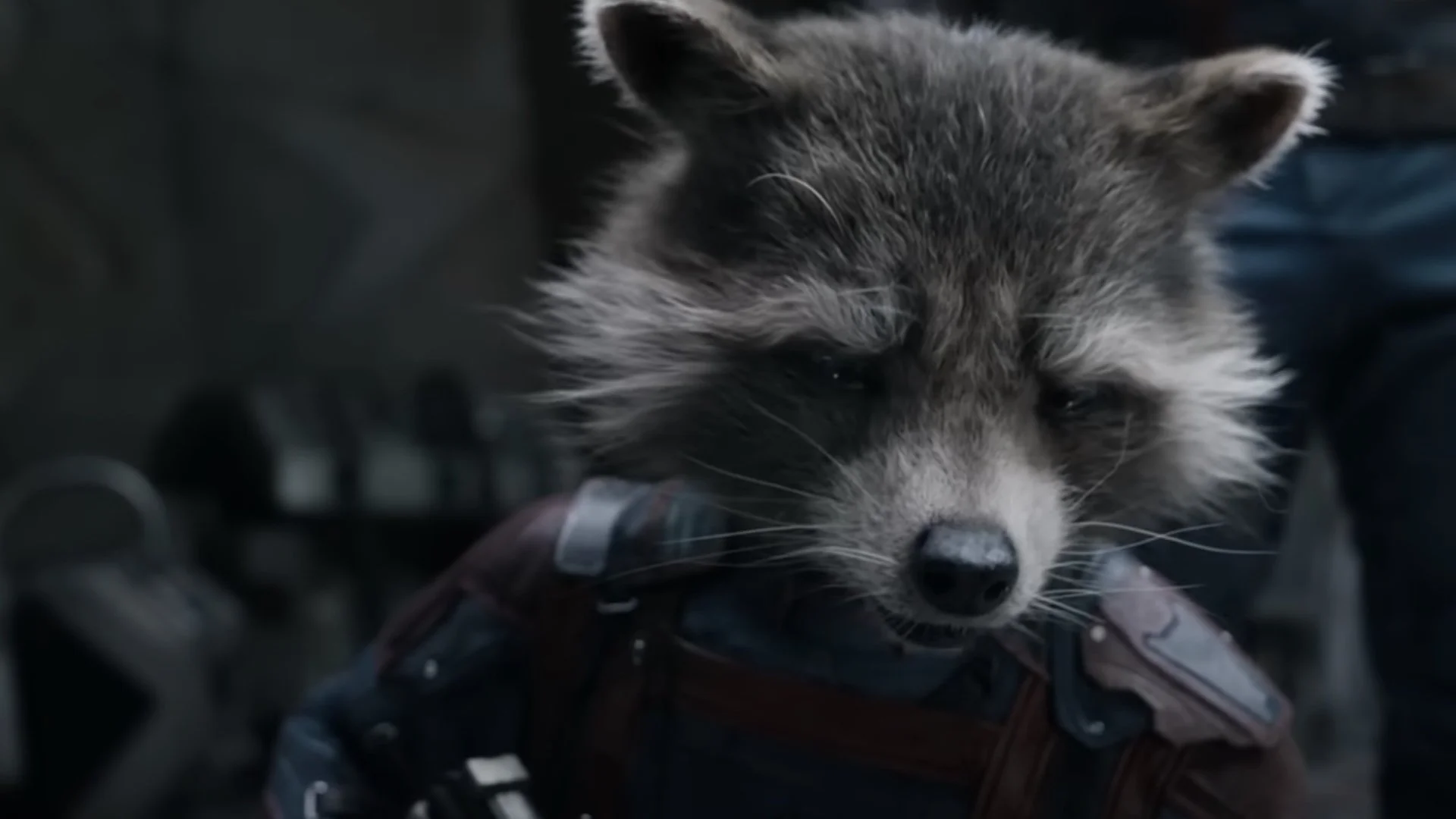 James Gunn Continues To Tease The Fate of Rocket Raccoon in GUARDIANS OF THE GALAXY VOL. 3 ...