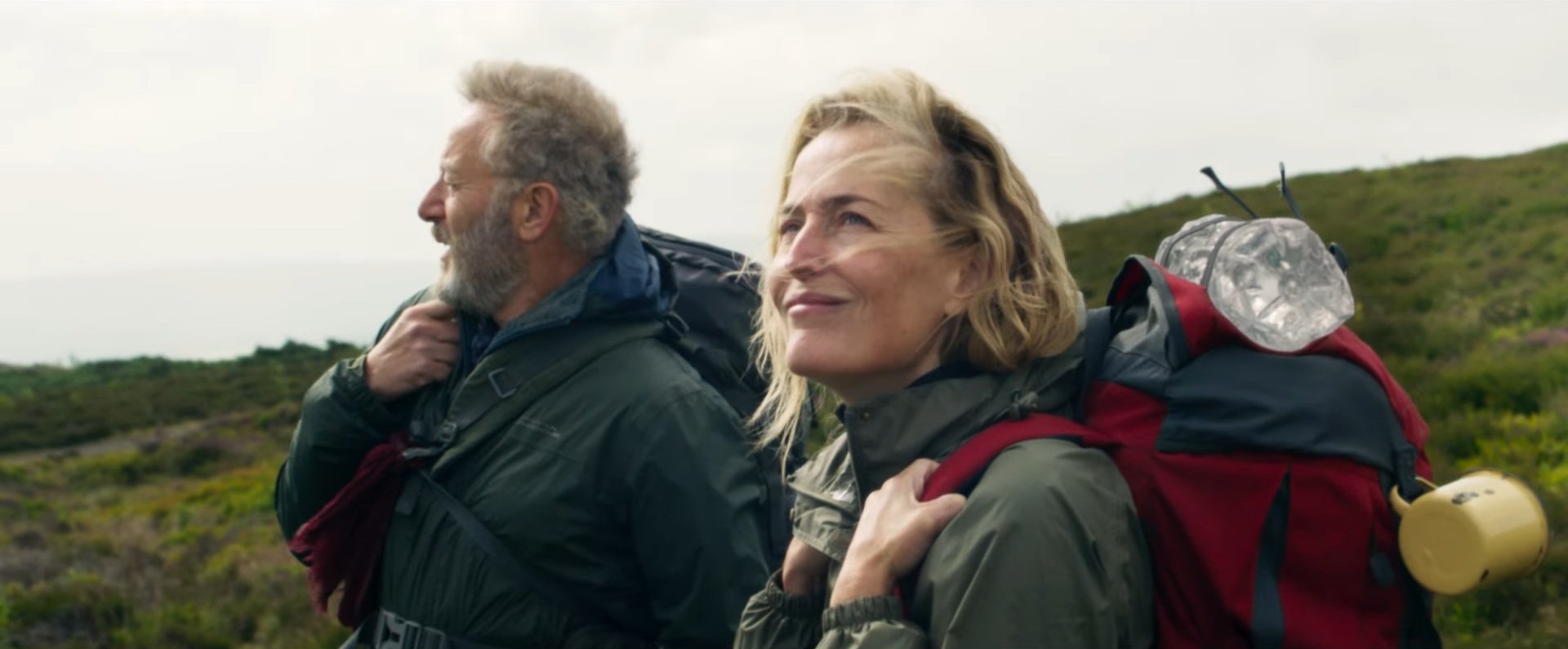 Beautiful and Touching Trailer For Drama Feature THE SALT PATH Starring Gillian Anderson & Jason ...