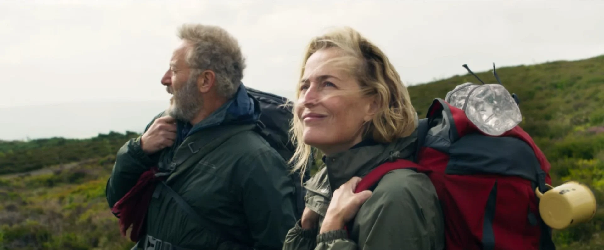 Beautiful and Touching Trailer For Drama Feature THE SALT PATH Starring Gillian Anderson & Jason ...