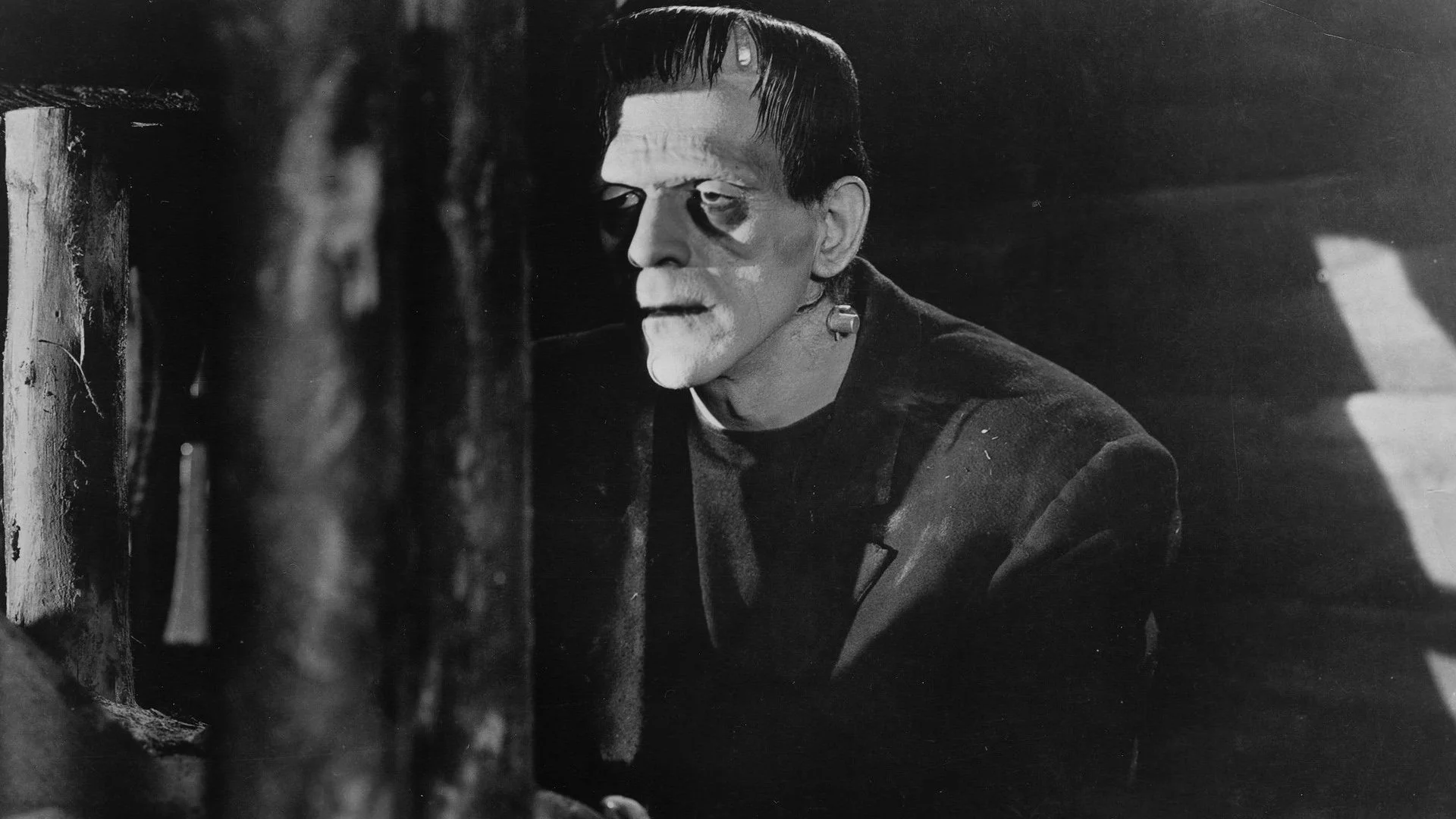 MARY'S MONSTER is a New Feature Film Biopic in The Works For ...