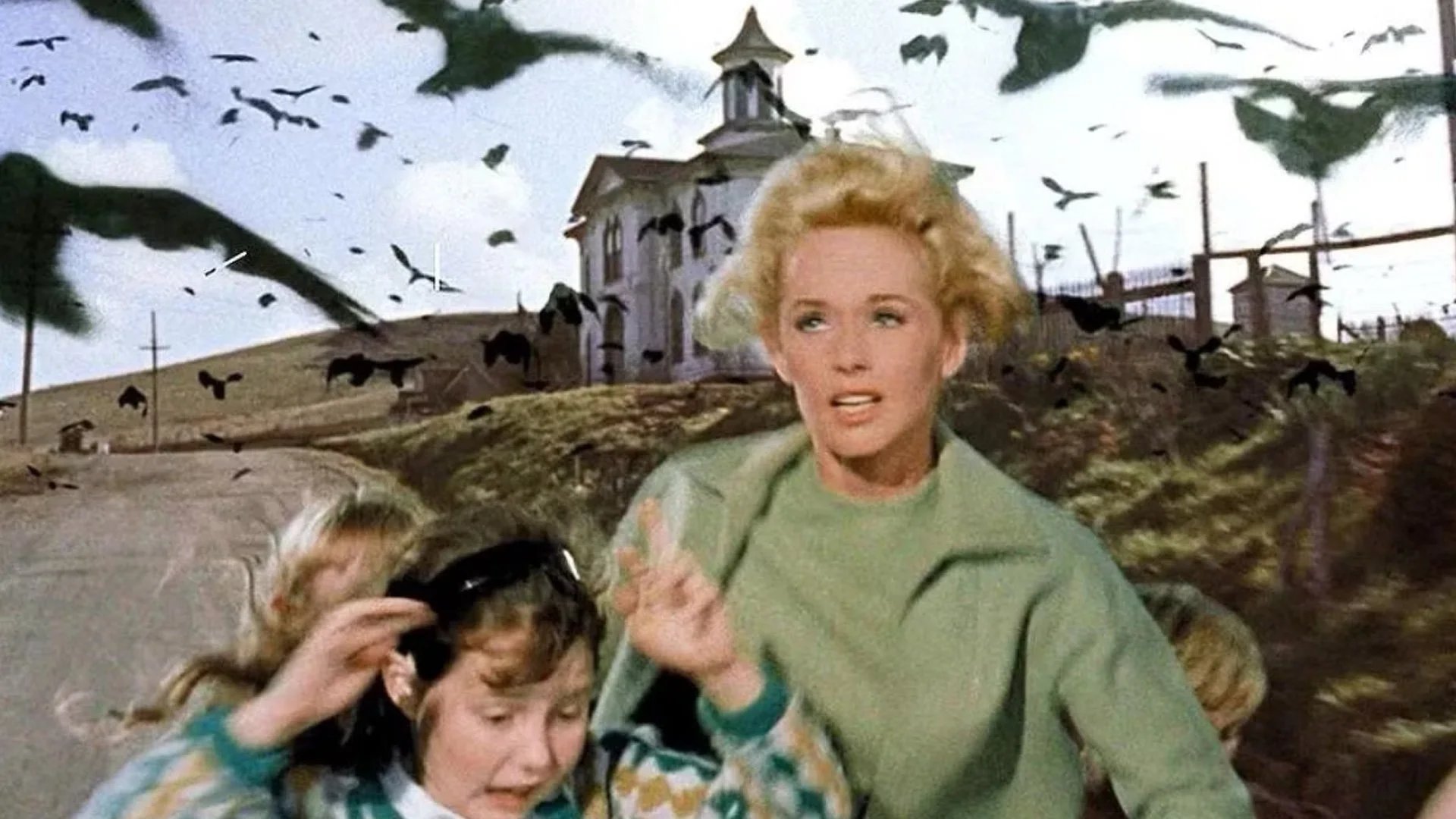 A Remake of Alfred Hitchcock's THE BIRDS Is Heading to TV With Sarah ...