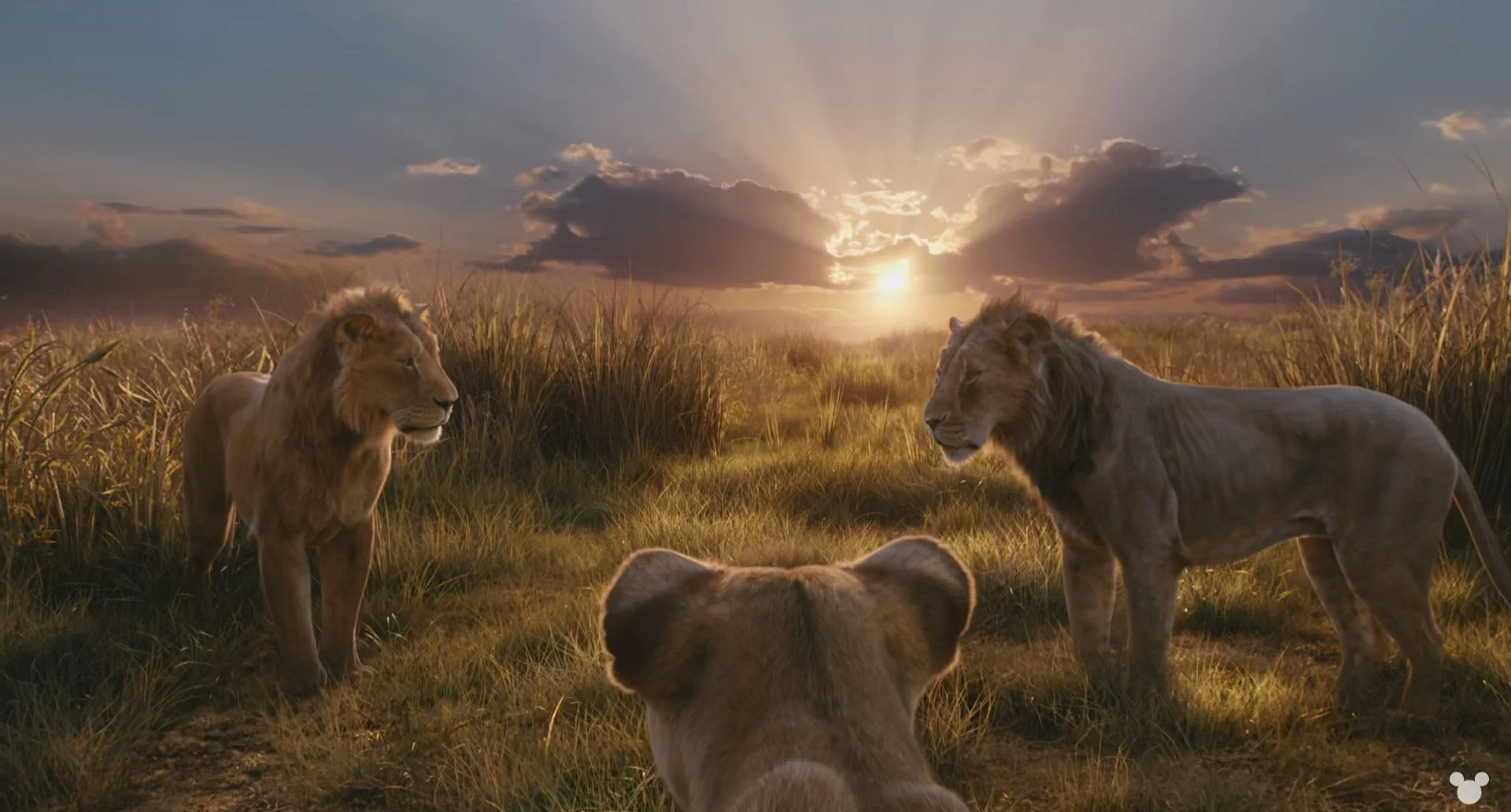 New Movie Posters and Musical Soundtrack Featurette for Disney's MUFASA ...