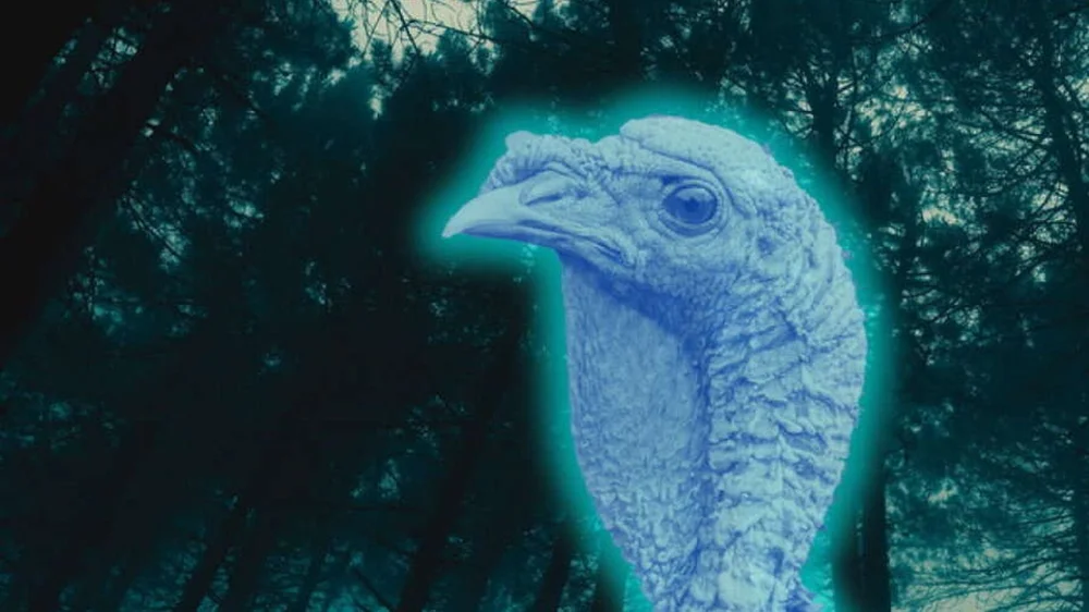 Beware THE POULTRYGEIST in Your Thanksgiving D&D Adventures — GeekTyrant