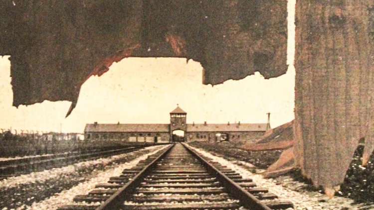 True Life Auschwitz Breakout Story THE ESCAPE ARTIST Being Developed as ...