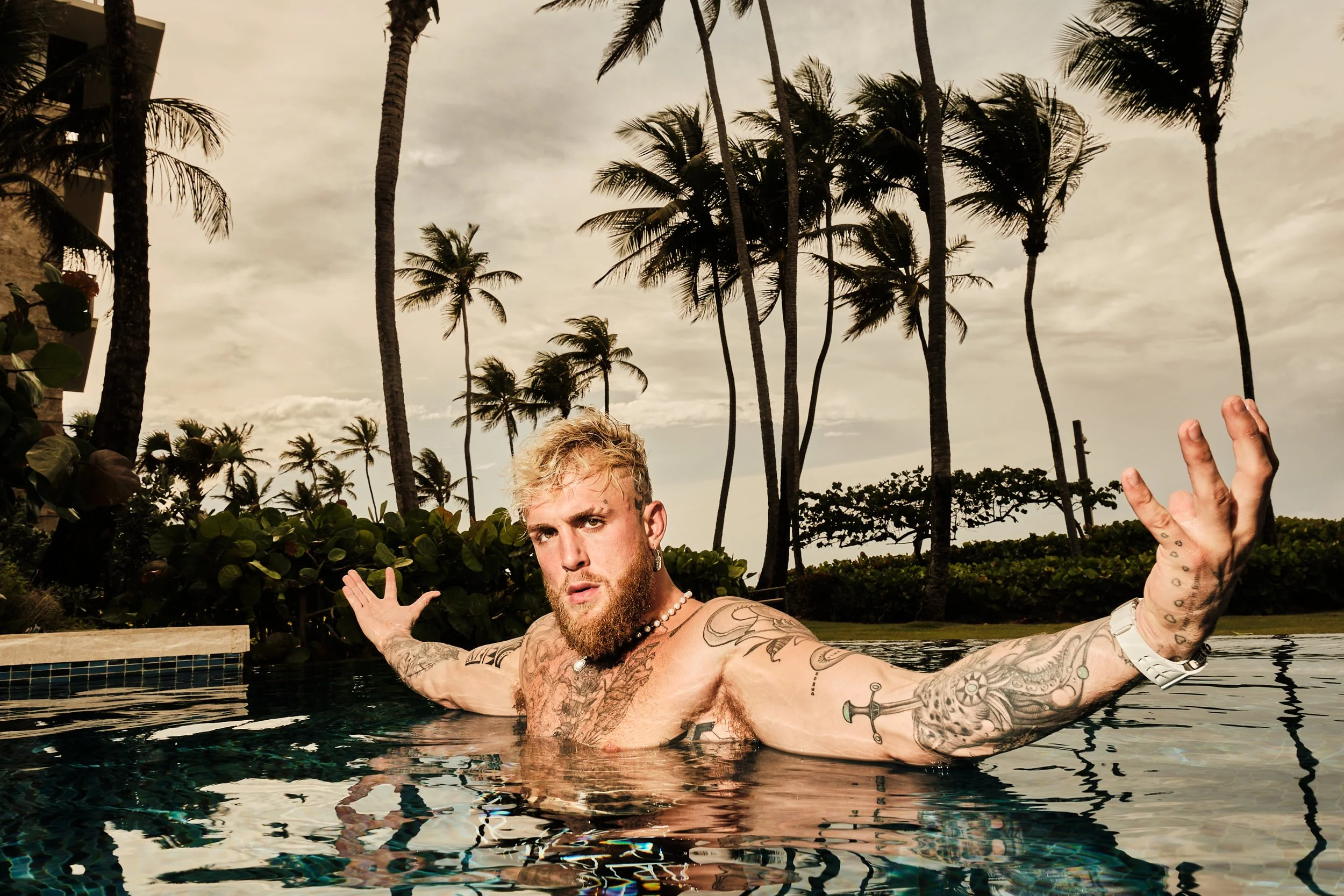 OVERVIEW — Clay Patrick Mcbride