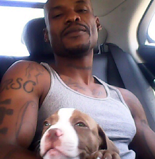 Li'l Scooby from Rollin 60s Shot and Killed; 2 More Killed Nearby ...