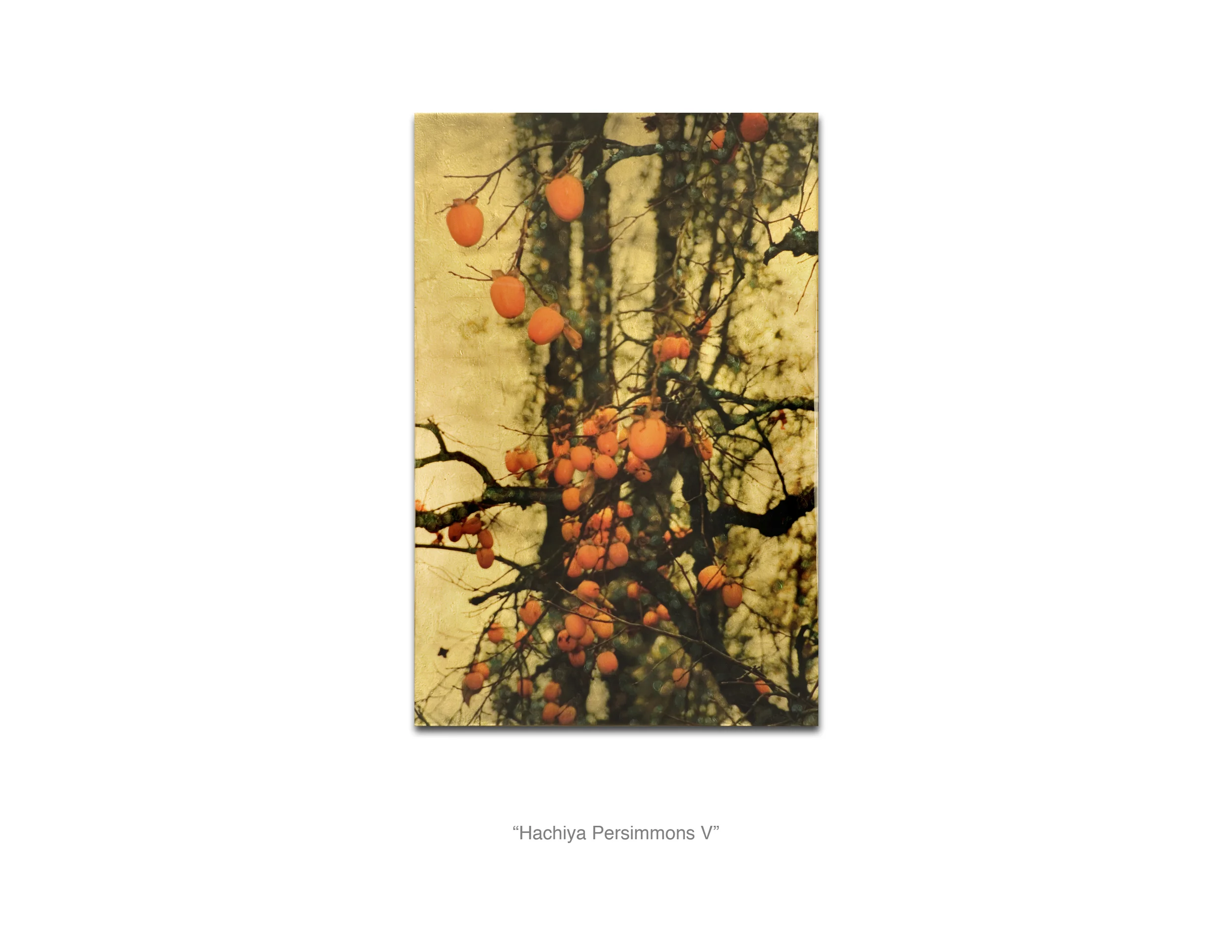 Paintings — Susan Goldsmith
