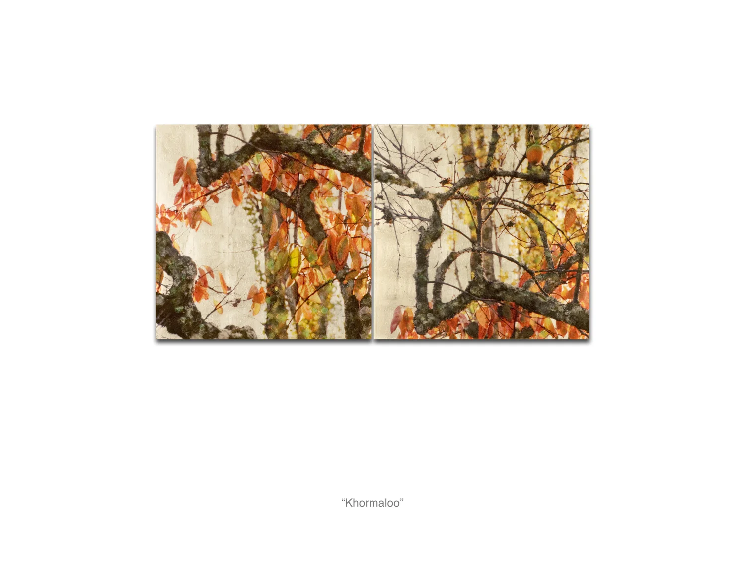 Paintings — Susan Goldsmith